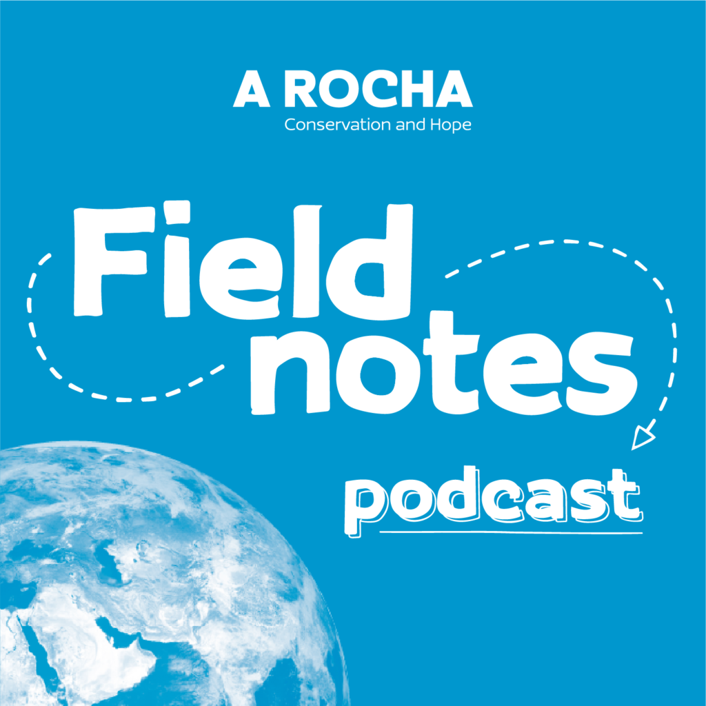 Página principal - A Rocha International