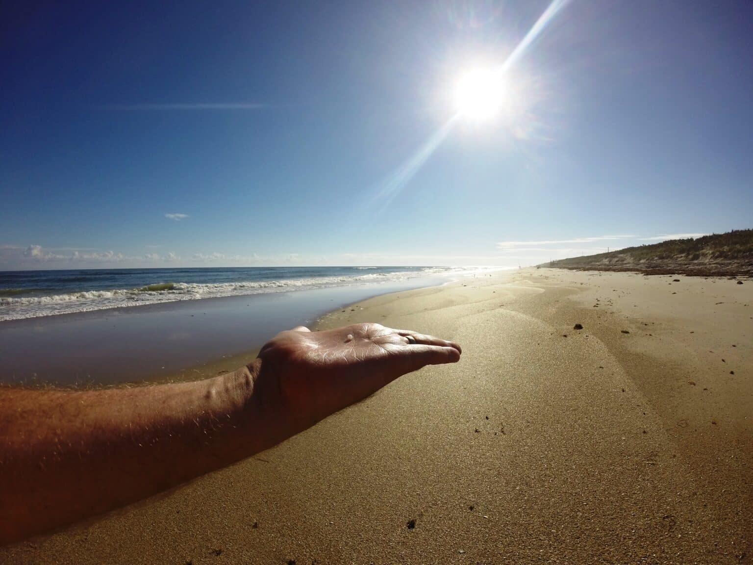 Projects - A Rocha International