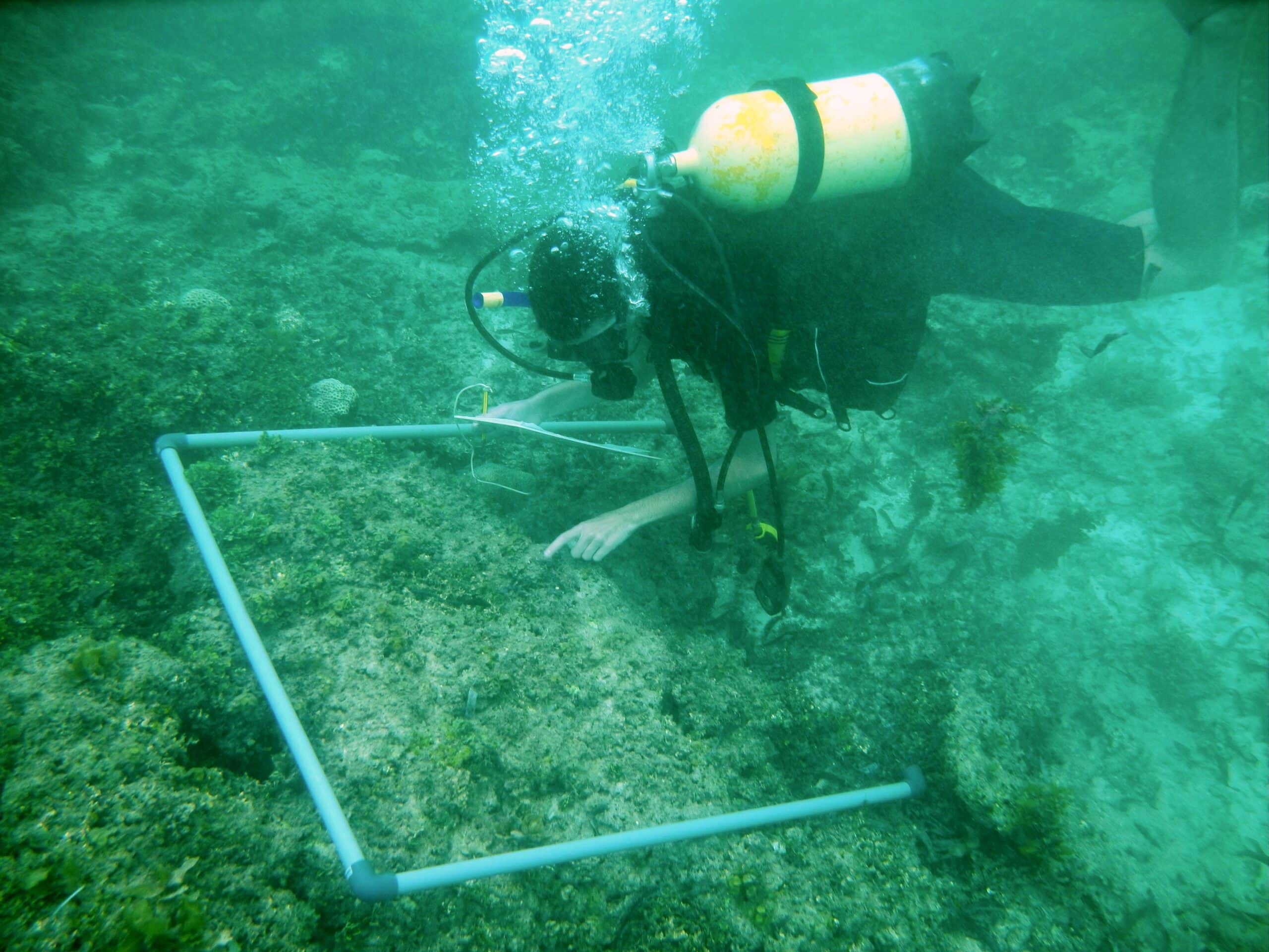 Kenya | Marine Programme | A Rocha