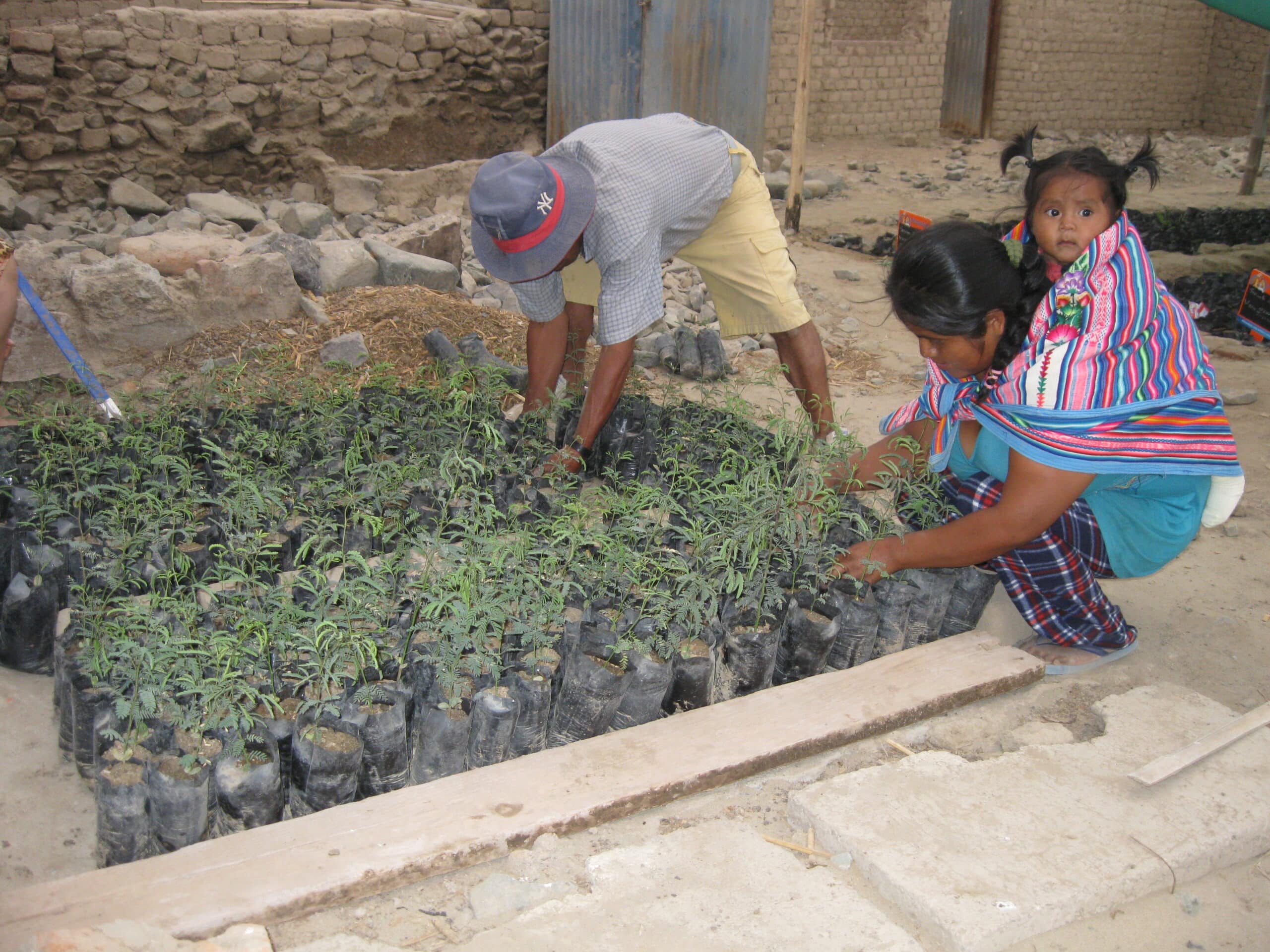 Peru | Volunteer in Peru | A Rocha