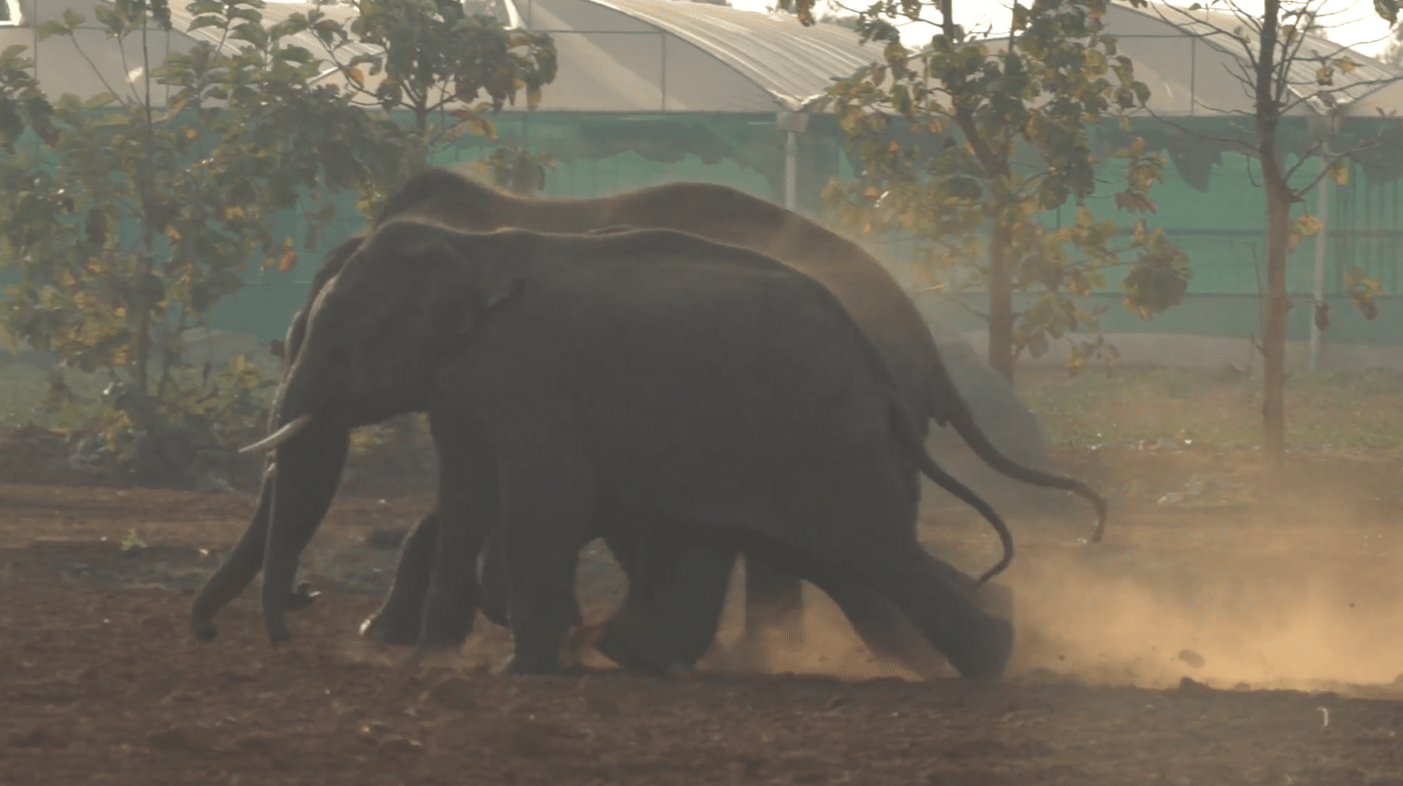 Projects - A Rocha International