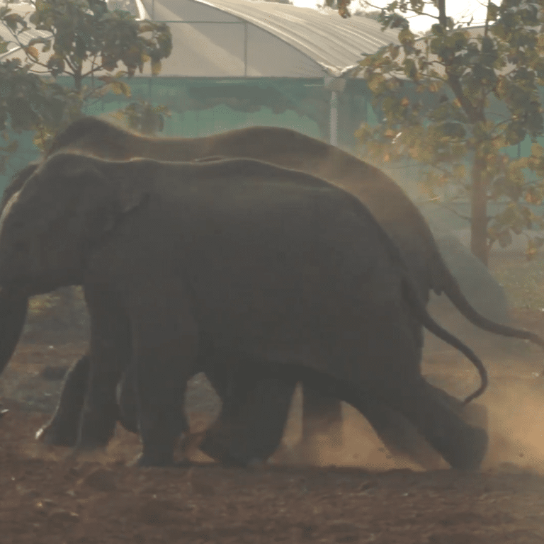 Dave Bookless | Planetwise | A Rocha