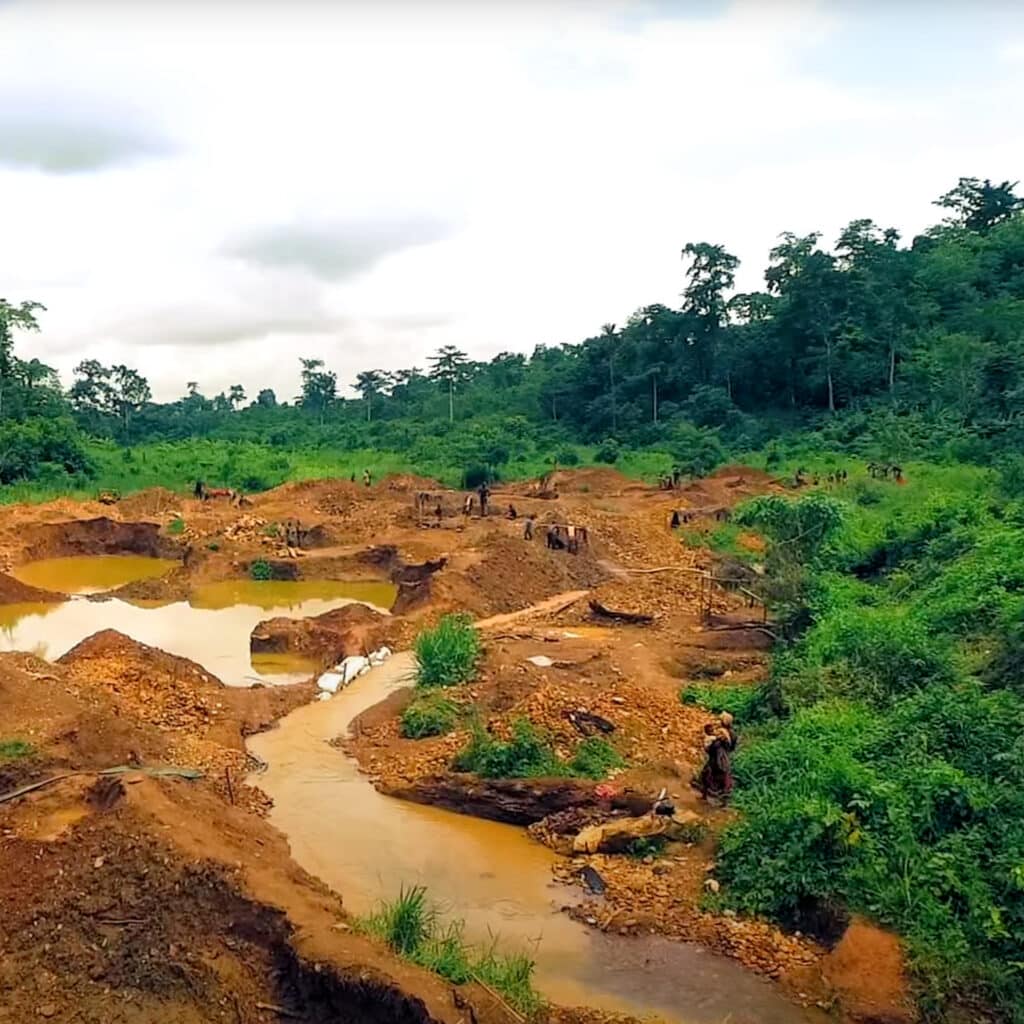 African Forest Programme | Africa | A Rocha