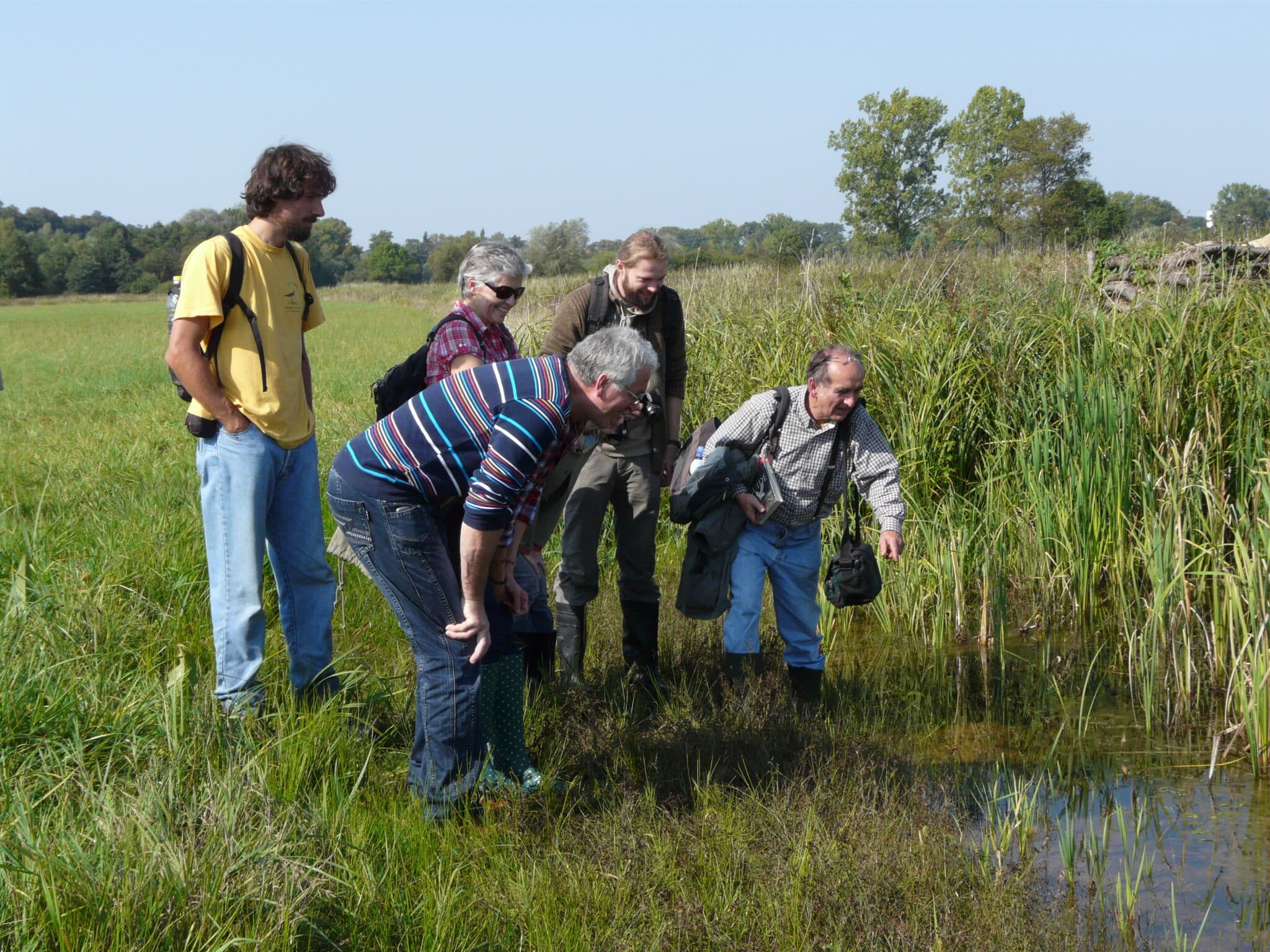 Projects - A Rocha International