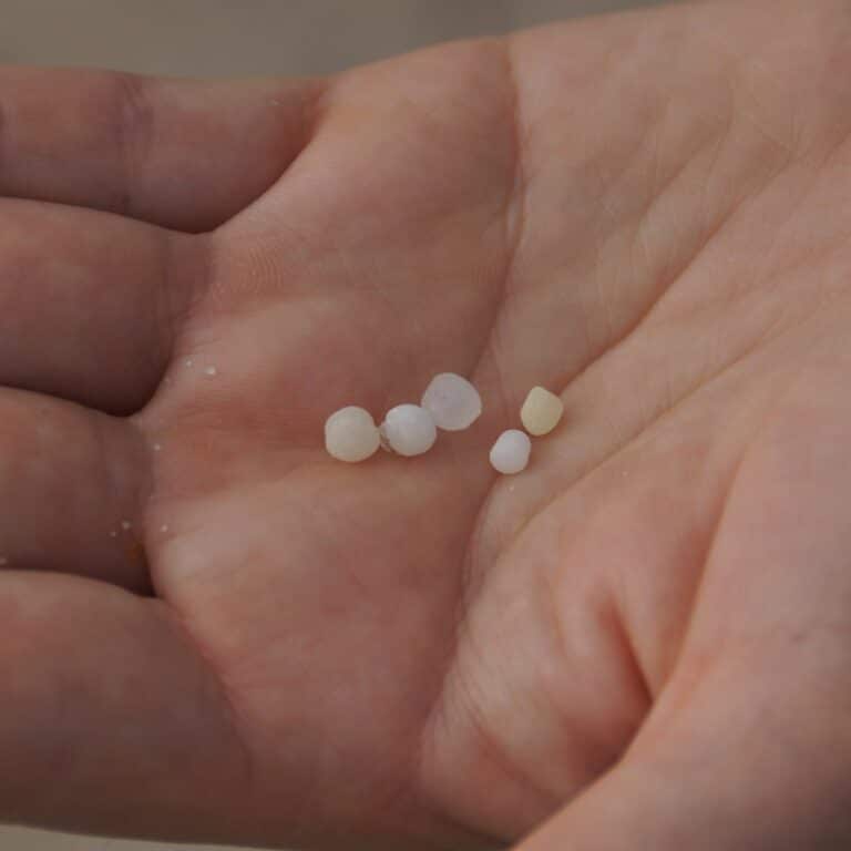 Nurdle hunting in Florida - A Rocha International