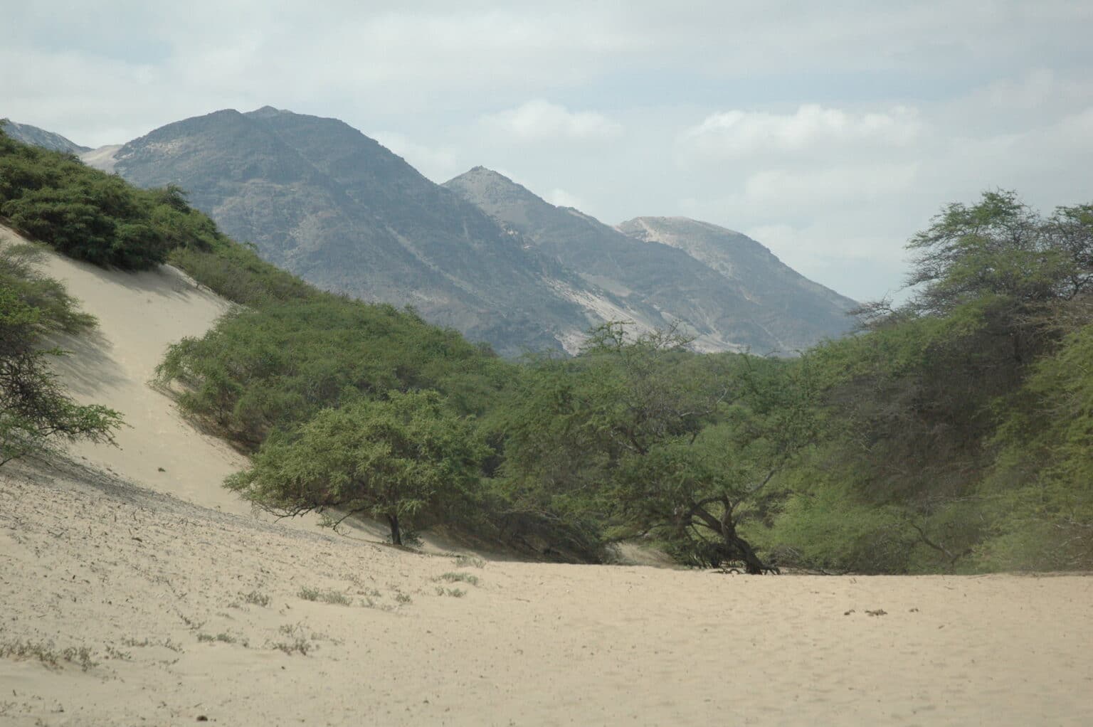 Projects - A Rocha International