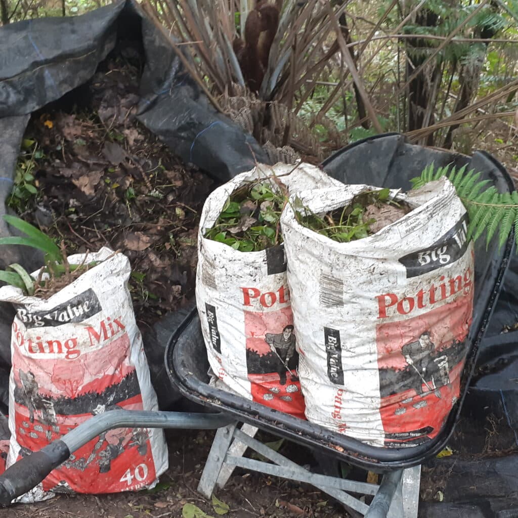 Home - A Rocha International