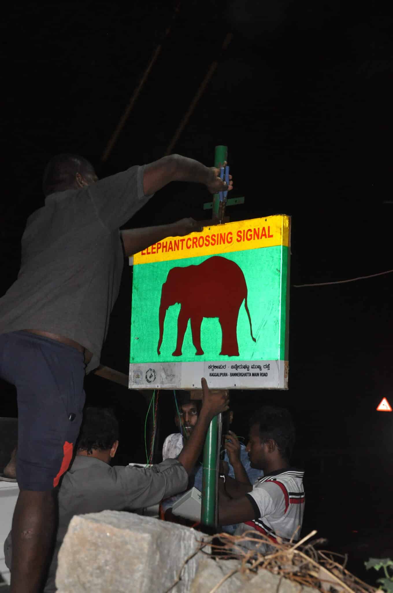 Elephant traffic lights, India - A Rocha International