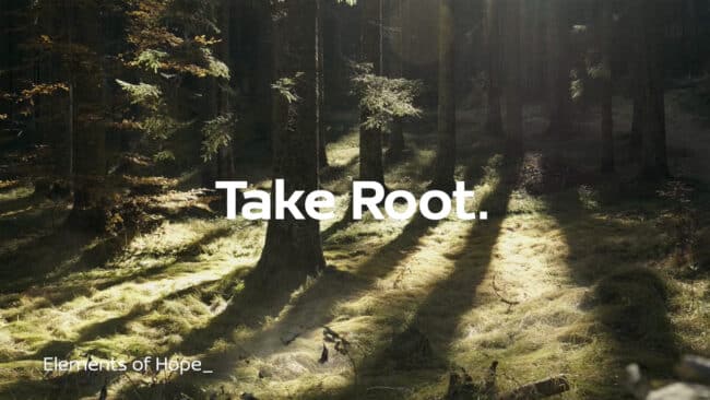 Take Root - A Rocha International