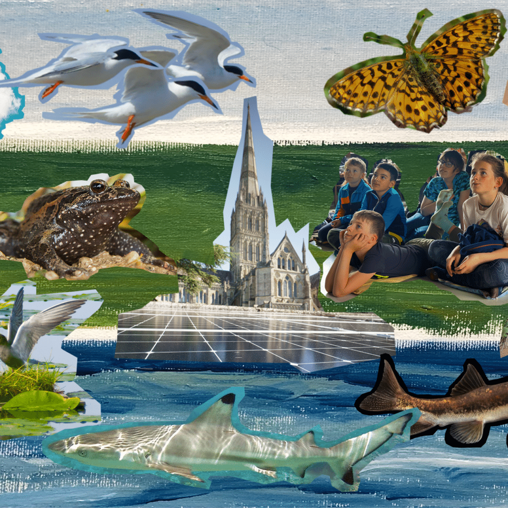 About A Rocha | Christian environmental organization | A Rocha