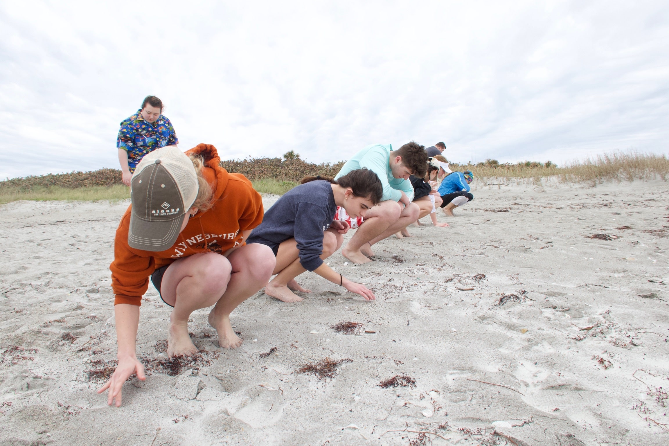 Sylvia Test Page - A Rocha International