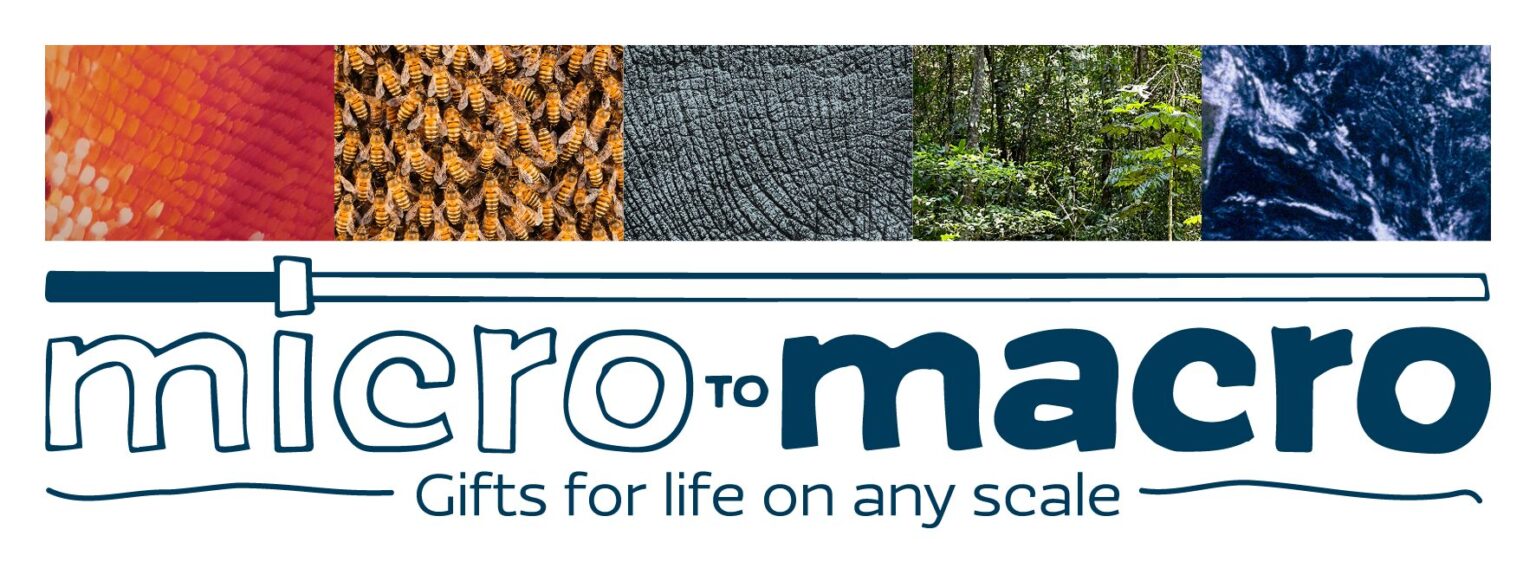 Home - A Rocha International