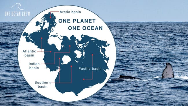 One Ocean, One Future - A Rocha International