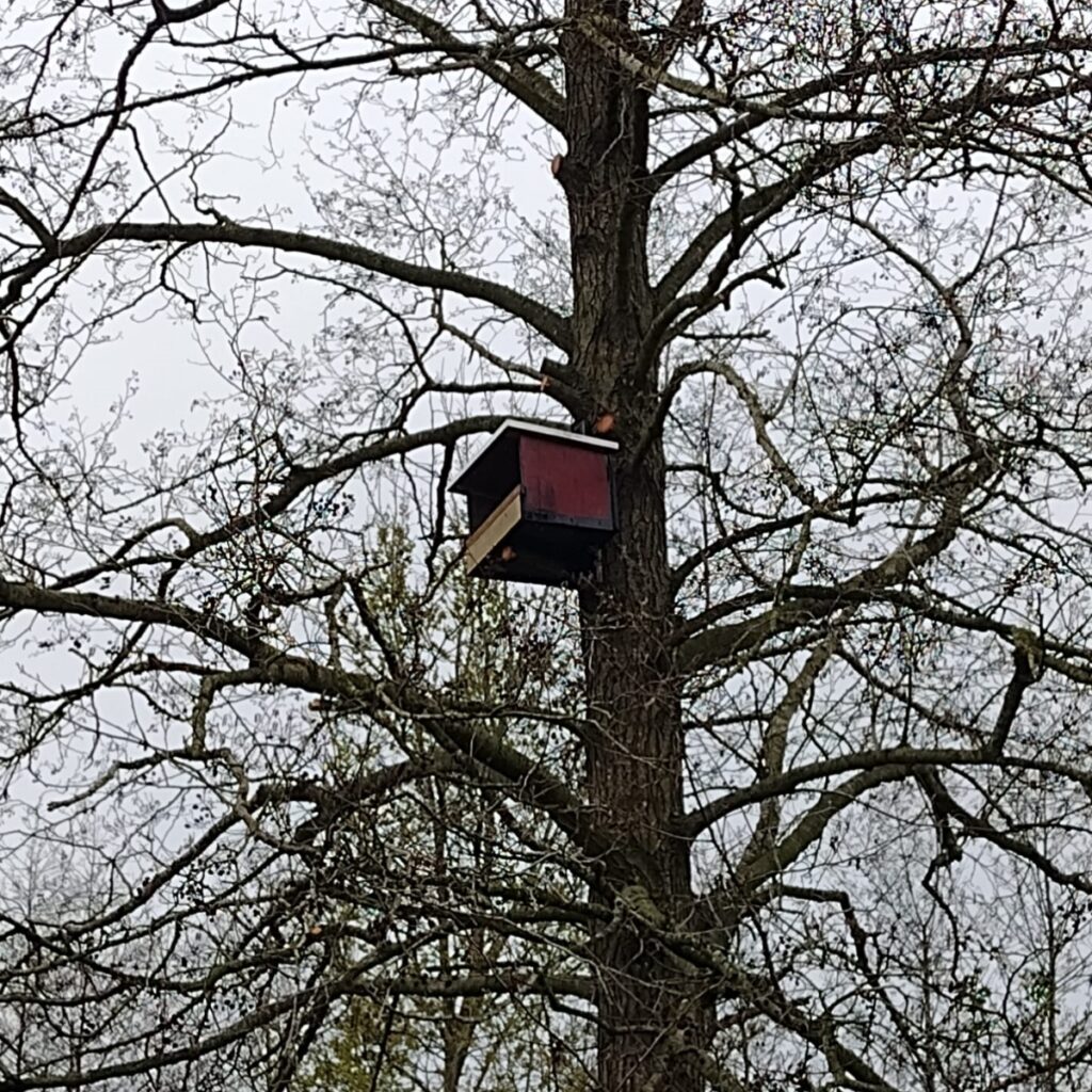 Conservation up the food chain - A Rocha International